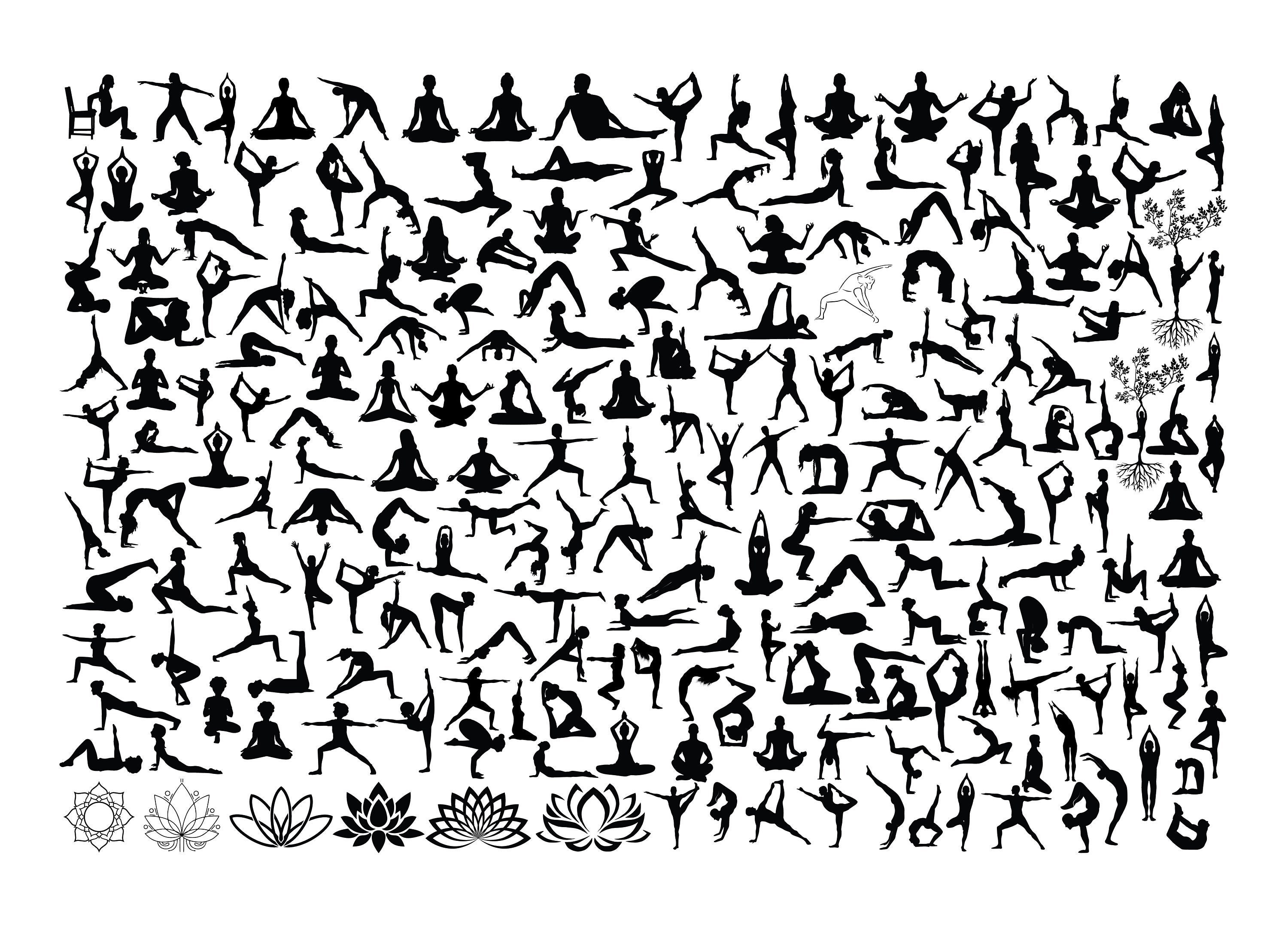 Stretching Clipart Black And White Lion