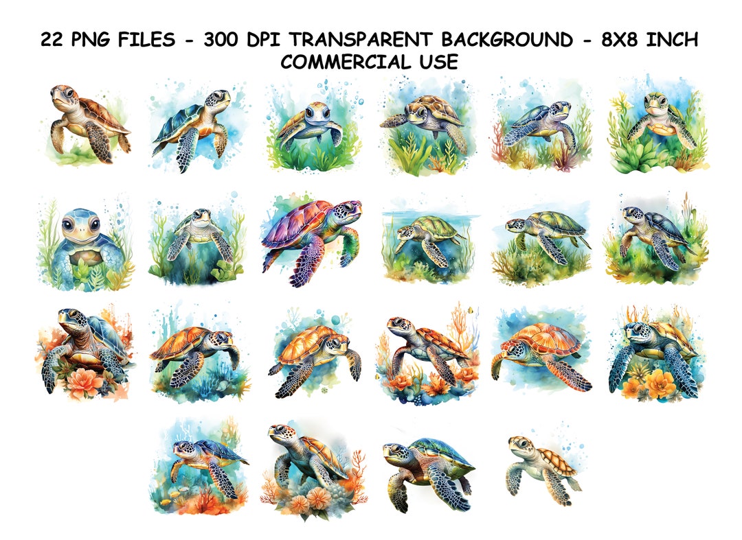 WATERCOLOR SEA TURTLE Clipart, Watercolor Sea Turtle Png Files ...