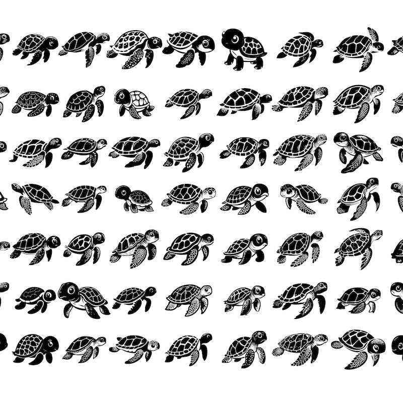 Turtle Svg - Etsy