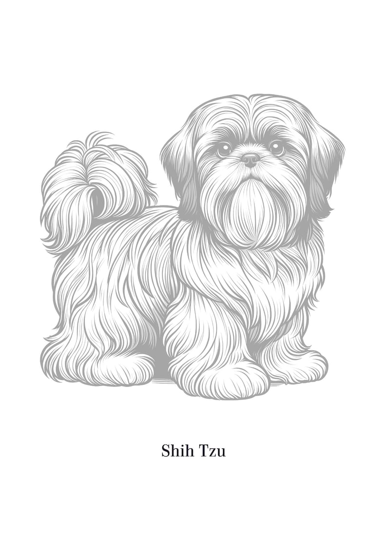 Dogs Tracing Guide, Learn to Draw Dogs, Tracing Art, Digital Download ...