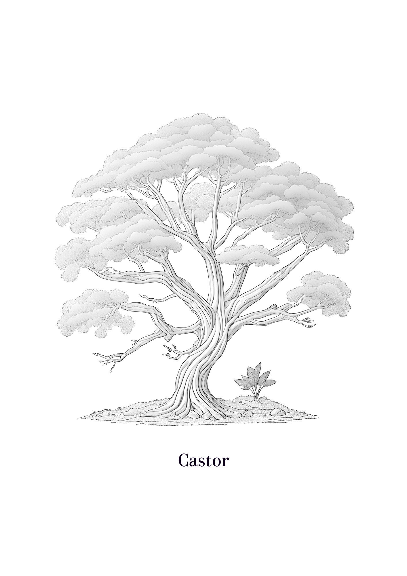 Leinwandbild Trace a Trees 2