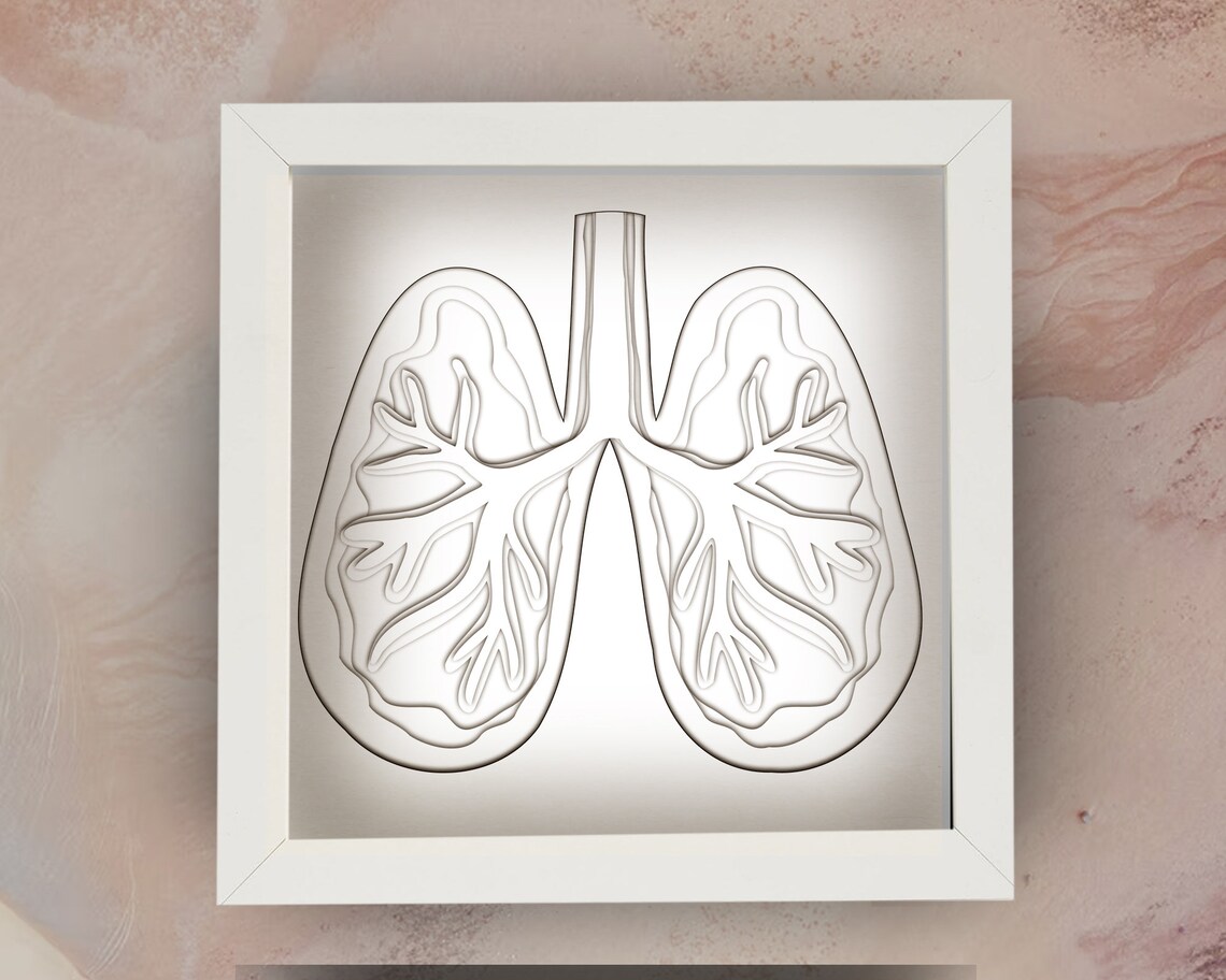 3D Lungs Shadow Box Svg for Cricut, Silhouette, Paramedic 3d Layered ...