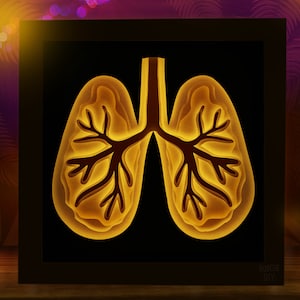 3D Lungs Shadow Box Svg for Cricut, Silhouette, Paramedic 3d Layered ...