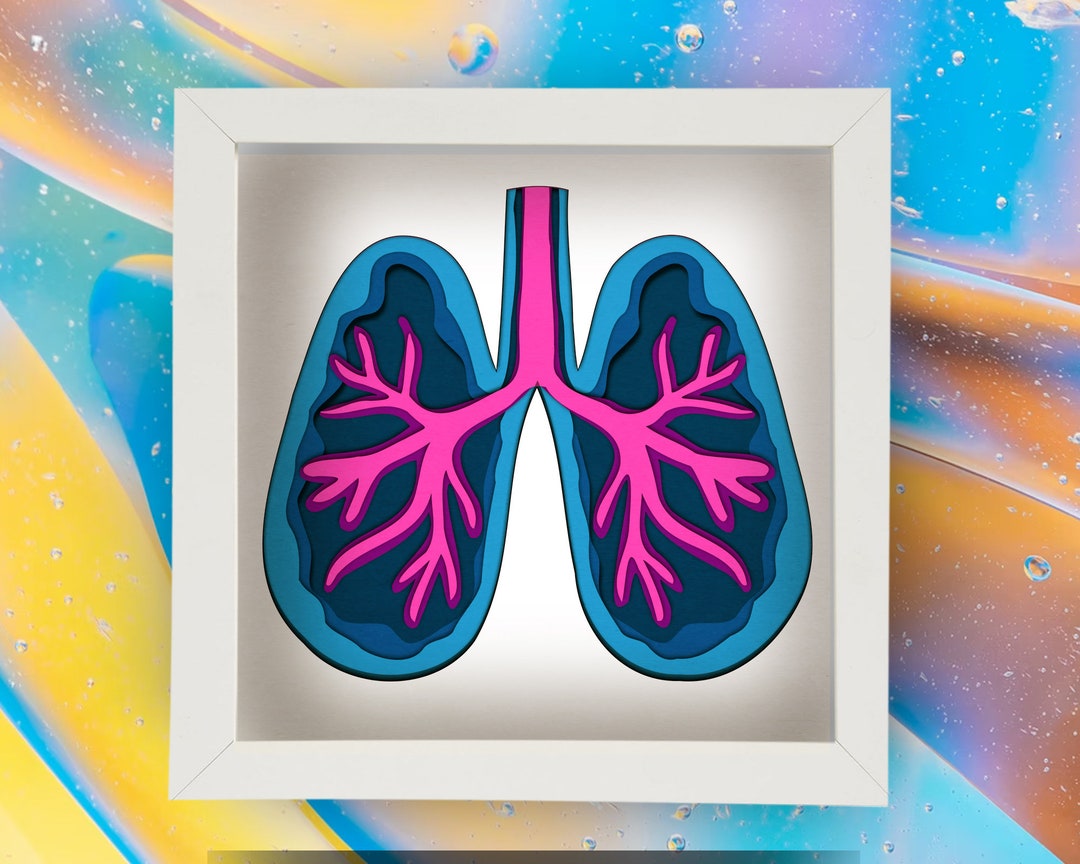 3D Lungs Shadow Box Svg for Cricut, Silhouette, Paramedic 3d Layered ...