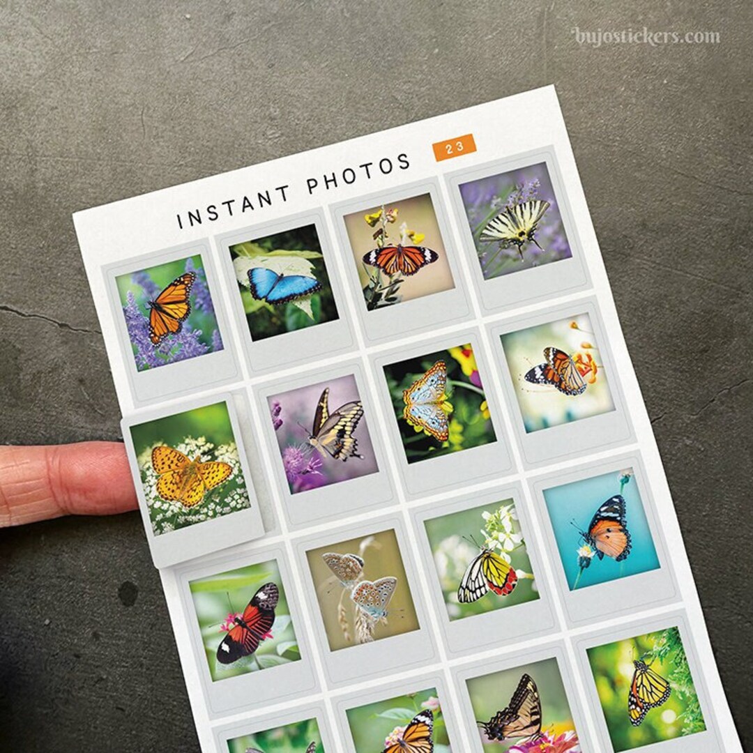 Butterfly Instant Photo Stickers Butterflies Nature Flowers Planning ...