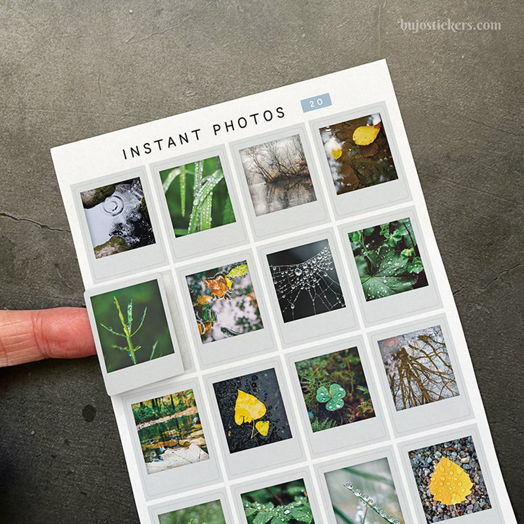 Rain Stickers, Instant Photo Style Nature, Raindrops, Leaves, Raining ...
