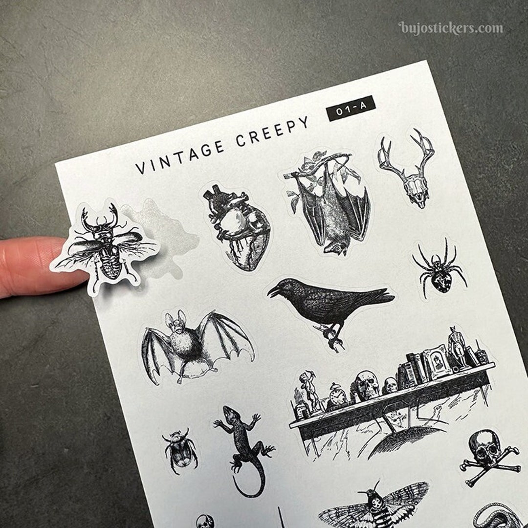 Vintage Creepy Stickers Halloween, Pirate Themes, Beetles, Skeleton ...