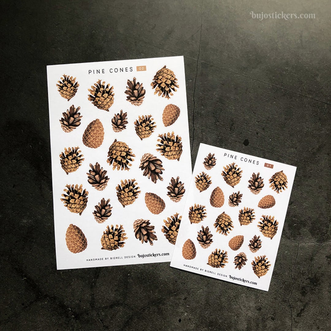 Pine Cone Stickers • Botanical Fall/autumn Nature Illustrations • 2 ...