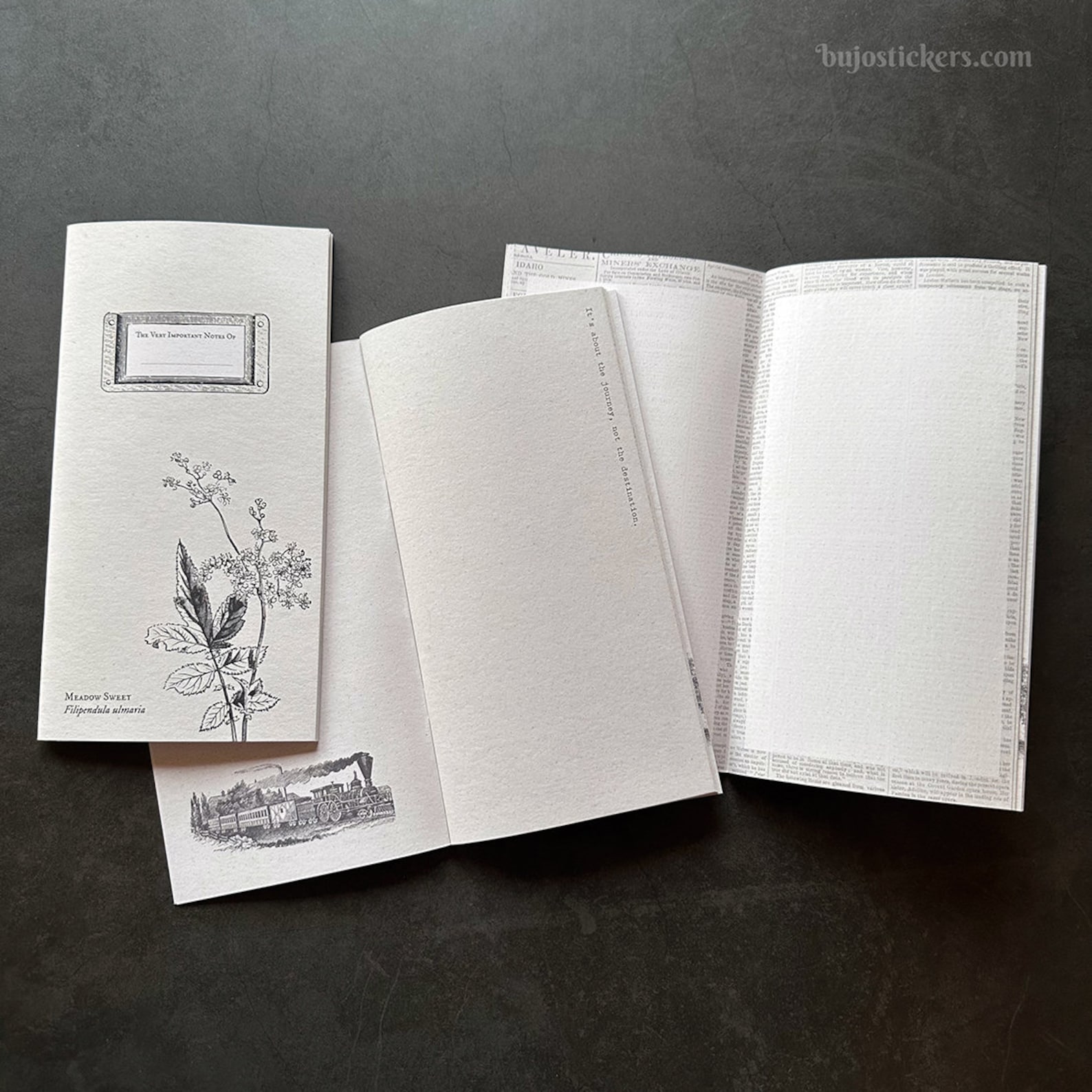 Traveler's Notebook Insert • Regular Size • Vintage Newspaper, Ads ...