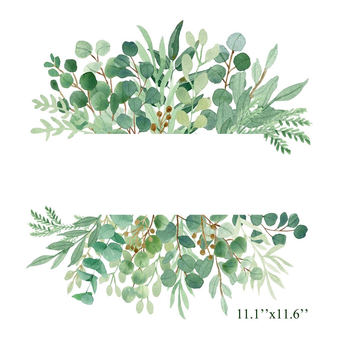 Watercolor Eucalyptus Clipart Gold Foil Geometric Frames PNG | Etsy