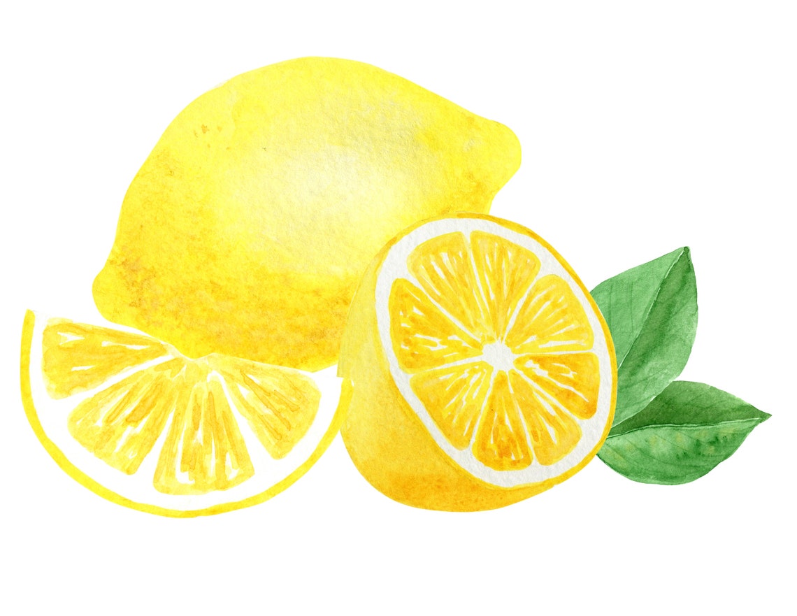 Watercolor Lemon Clipart.Fruit clipart.Citrus clipart.Yellow | Etsy