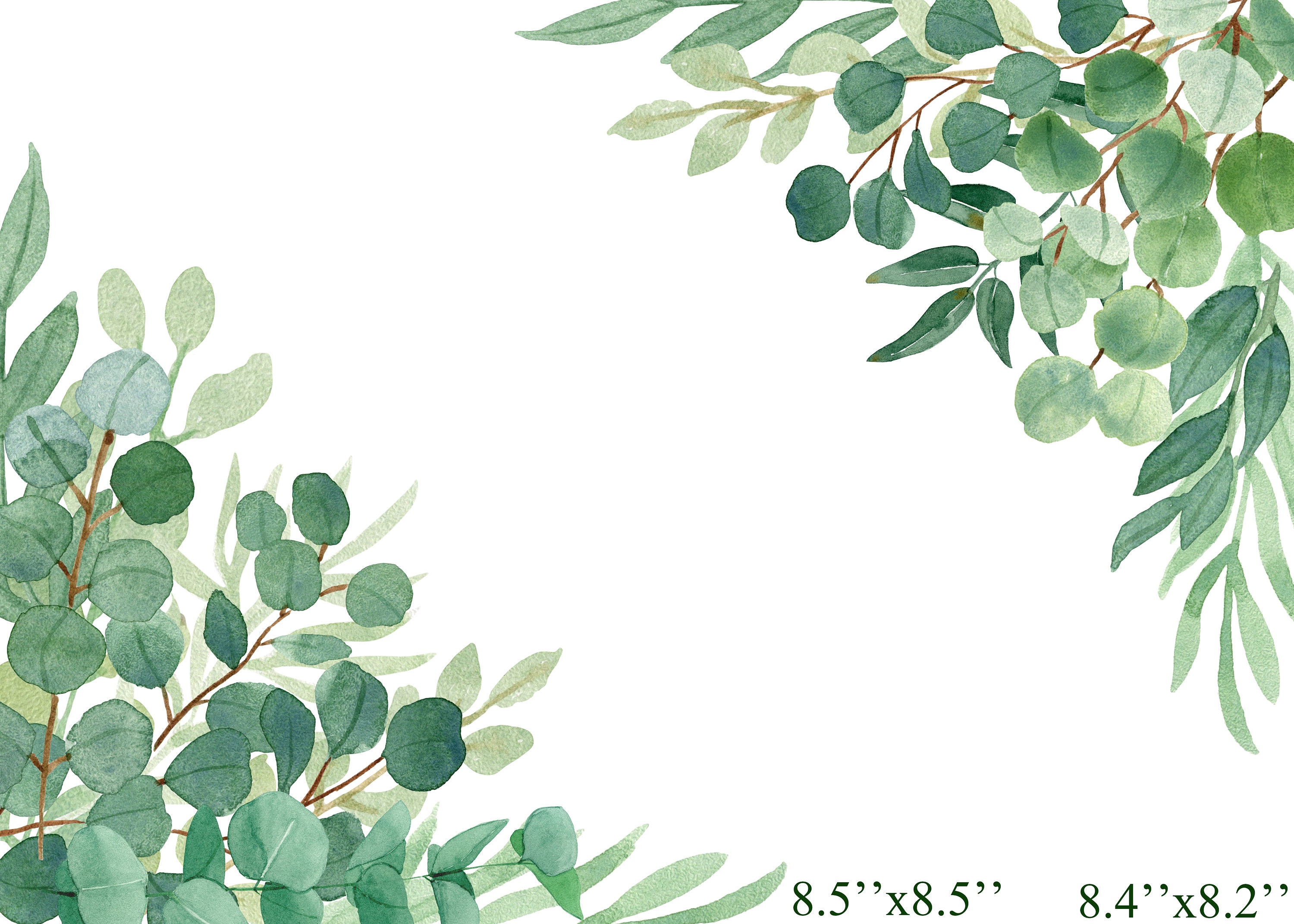 Watercolor Eucalyptus Clipart Gold Foil Geometric Frames PNG | Etsy