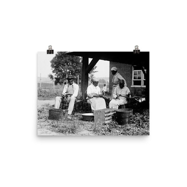 Early American Life - Etsy