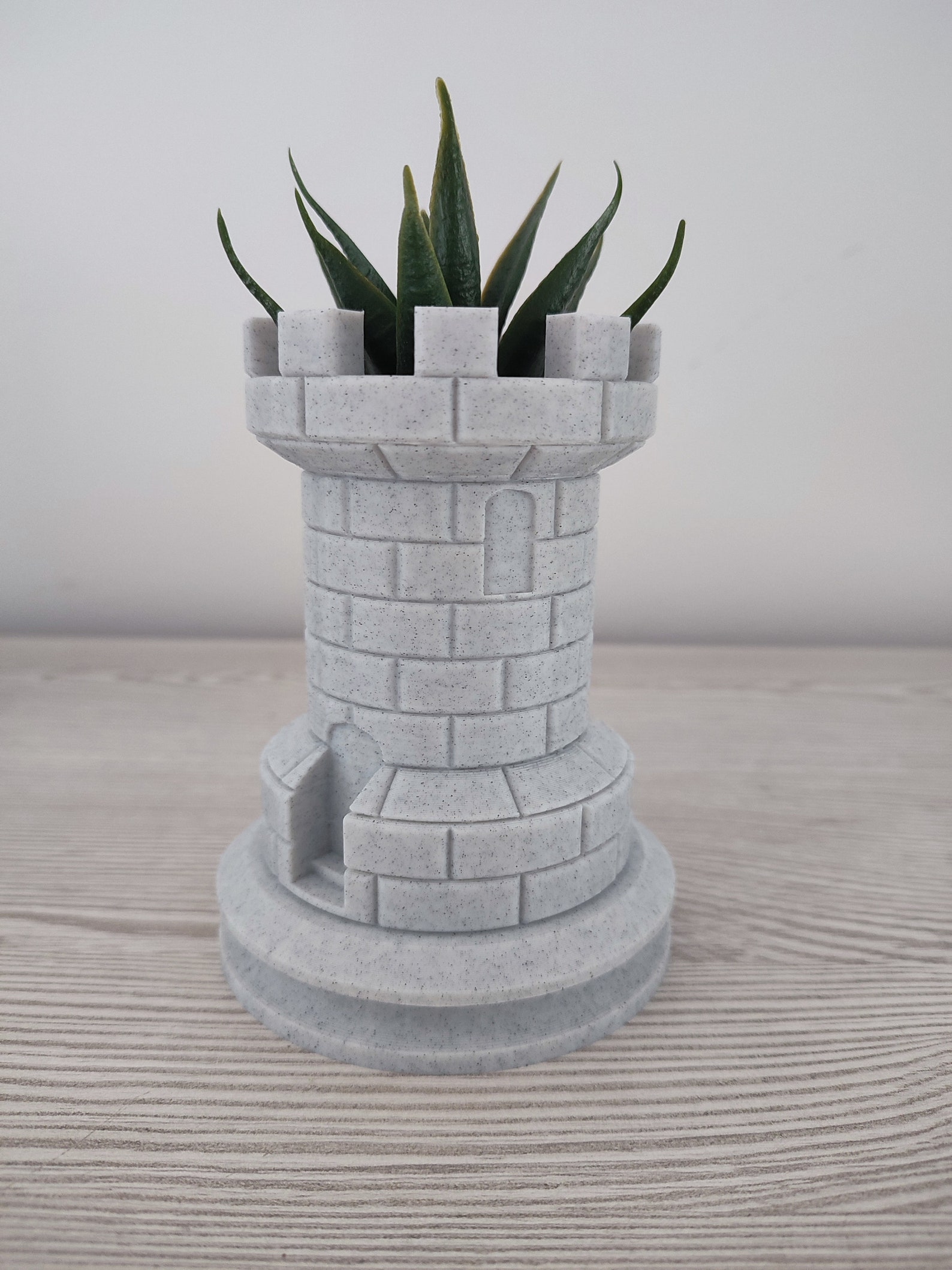 Chess Piece Pot Chess Game Tower Cactus and Succulents Indoor and ...