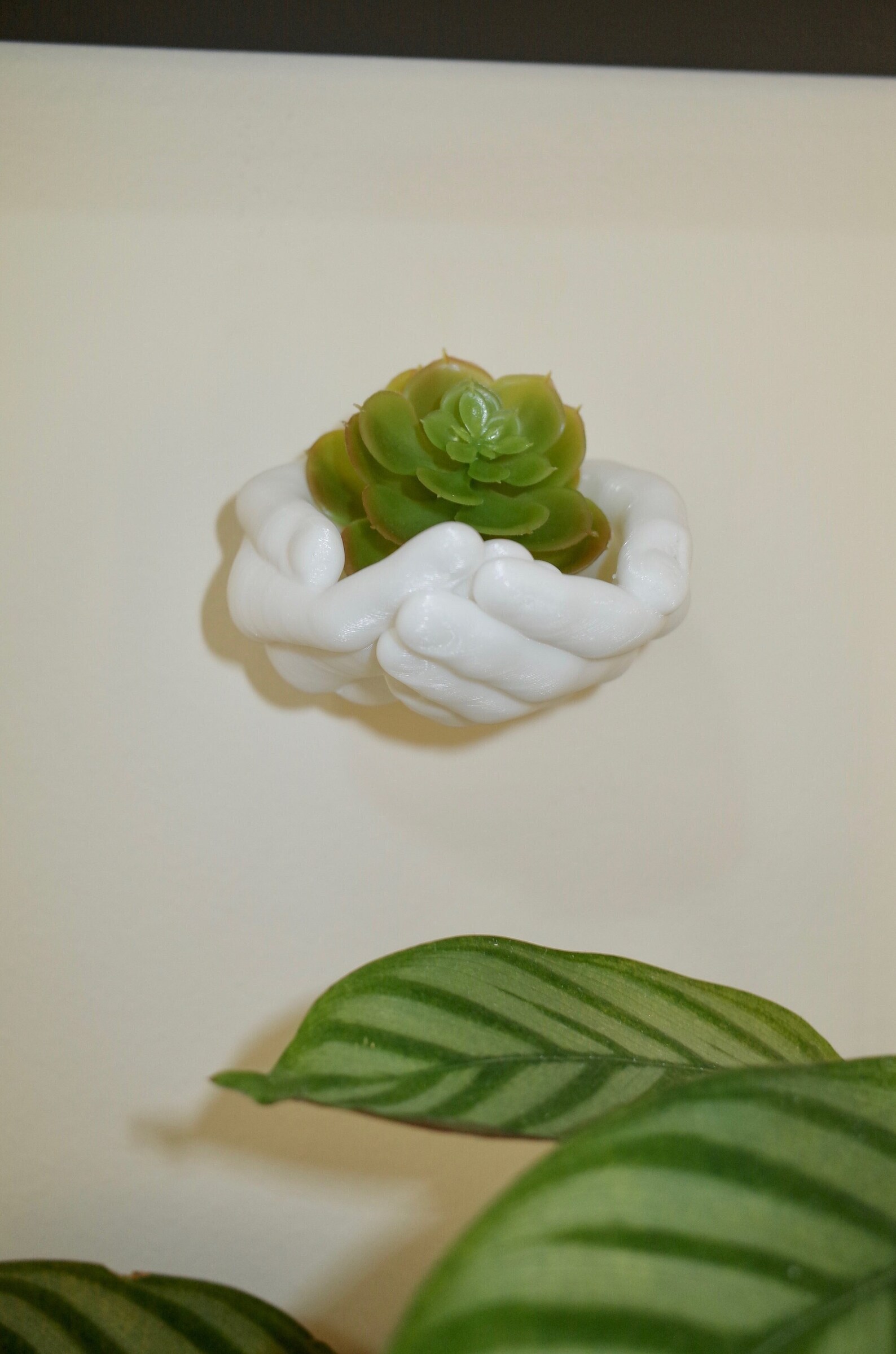 Hands Hanging Planter / Plant Pot / Air Plant Holder / Wall - Etsy