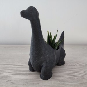 Diplodocus Dinosaur Pot - Fun Decor - Succulent Planter - Original Pot ...