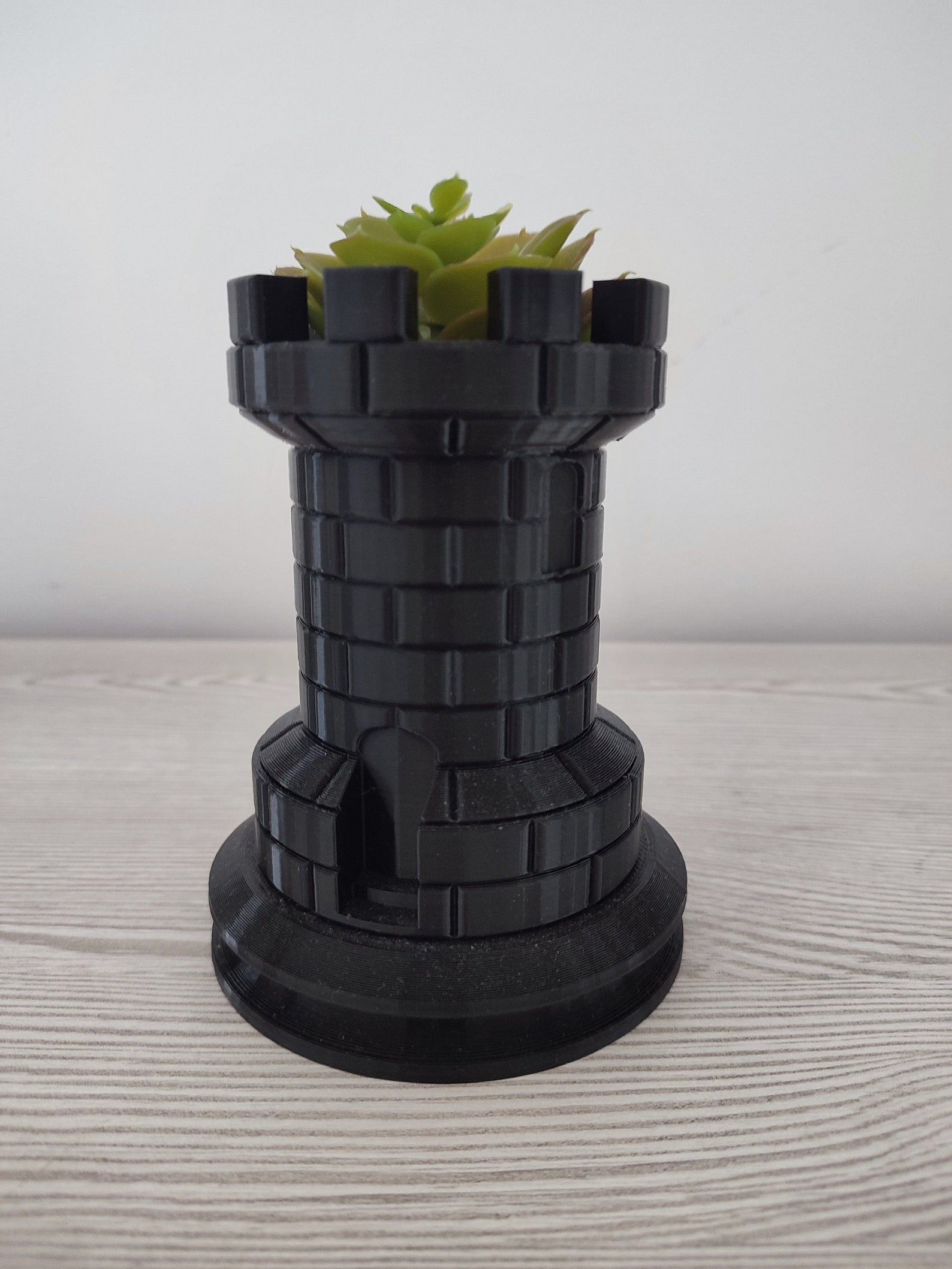 Chess Piece Pot Chess Game Tower Cactus and Succulents Indoor and ...