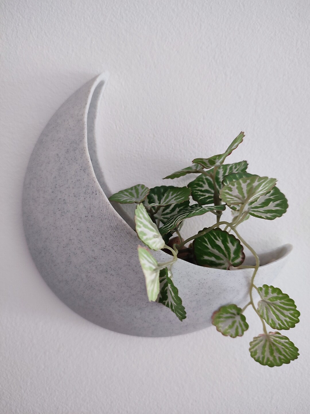 Moon-shaped Hanging Pot Original Gift Succulent Fun Pot Original ...