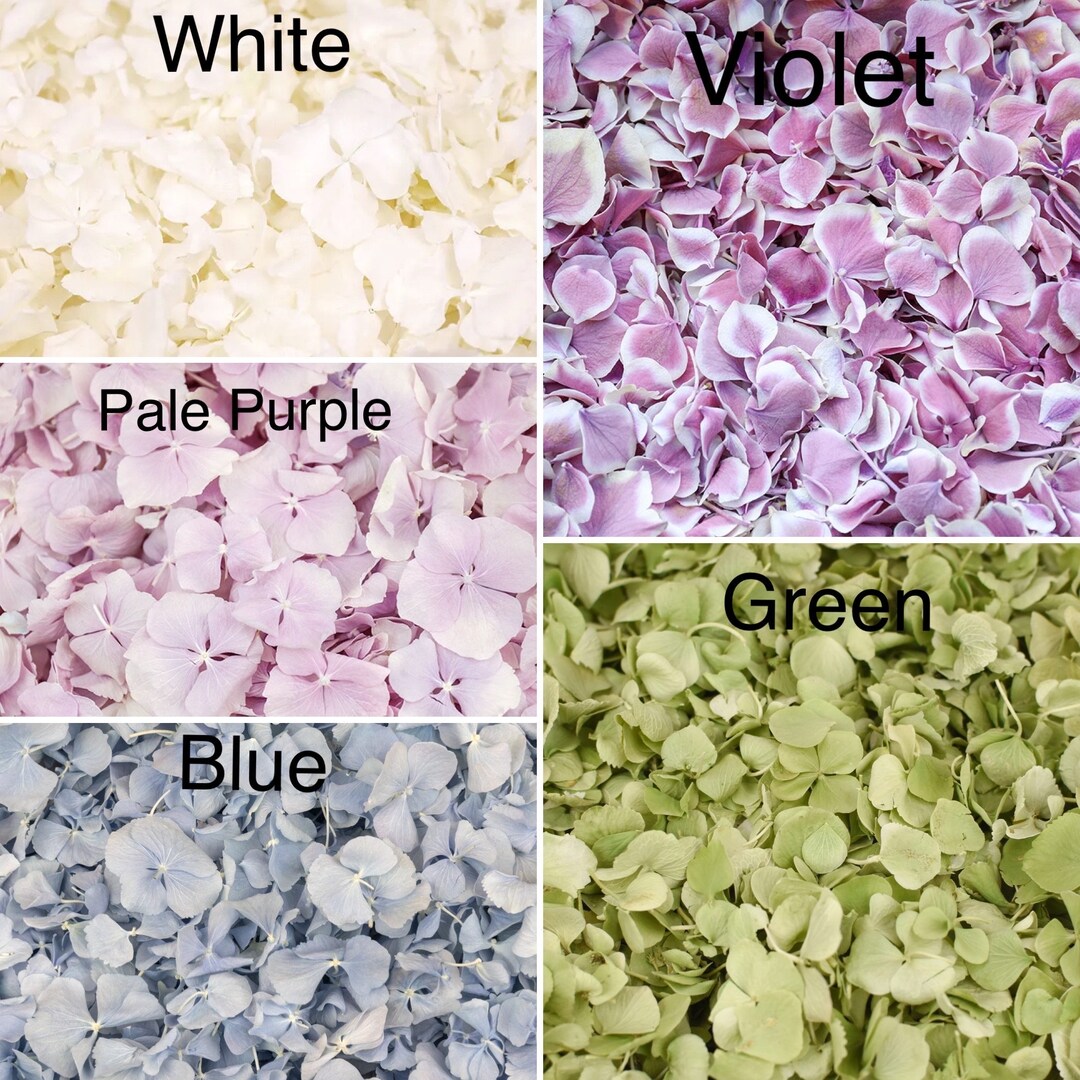Handpicked Natural Hydrangea Confetti - Biodegradable Petals , Eco ...