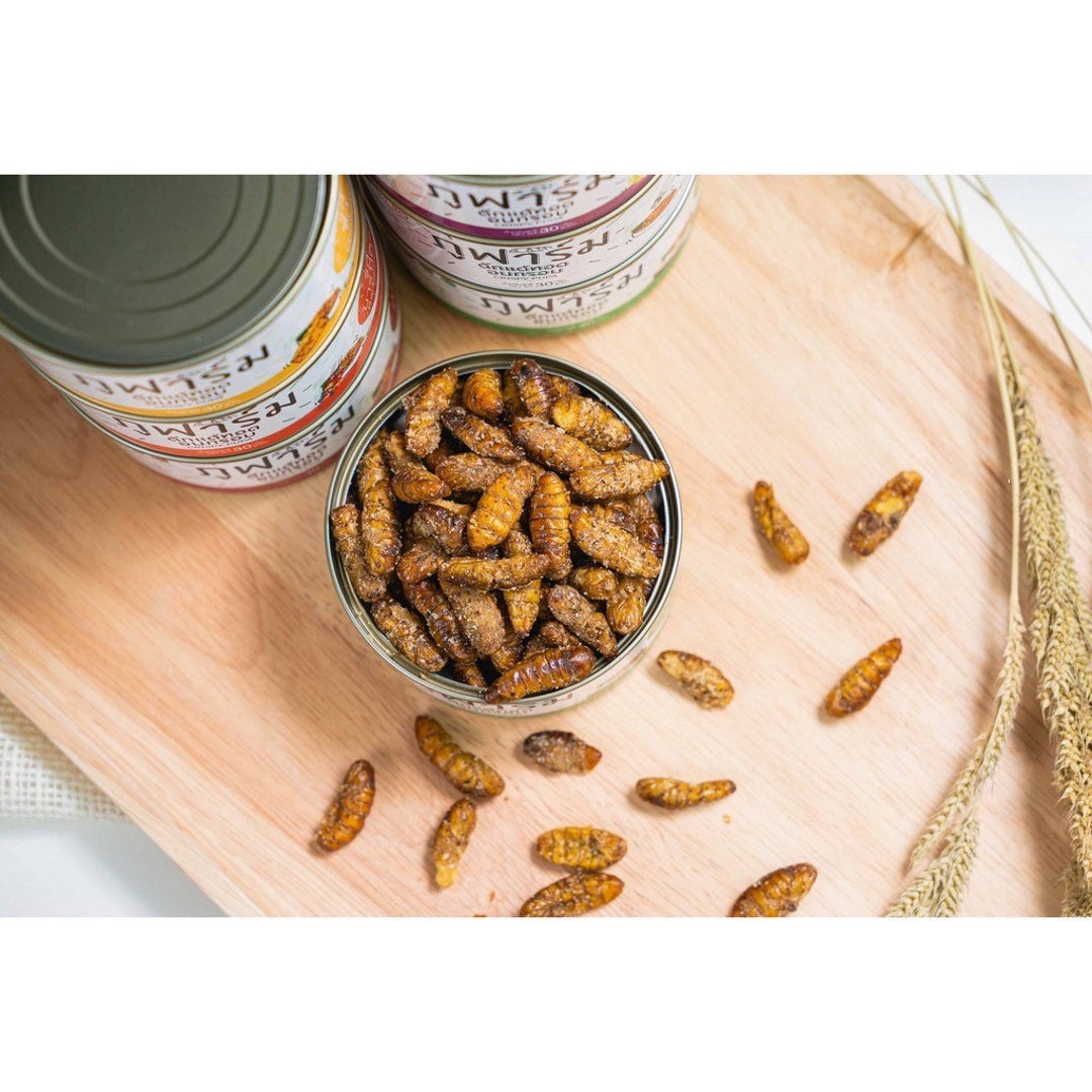 Silkwarm Pupae Snack Crispy Pupae Homemade Style Yummy 30 G Keto ...