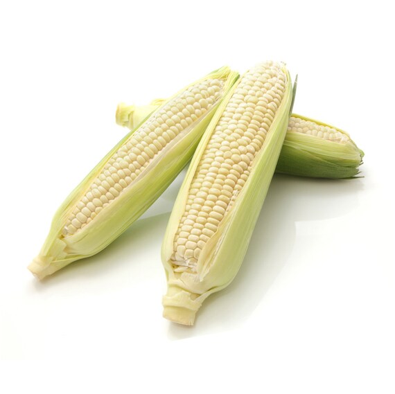 Home & Living Outdoor & Gardening 20 Seeds Hokkaido Sweet Corn Pearl ...