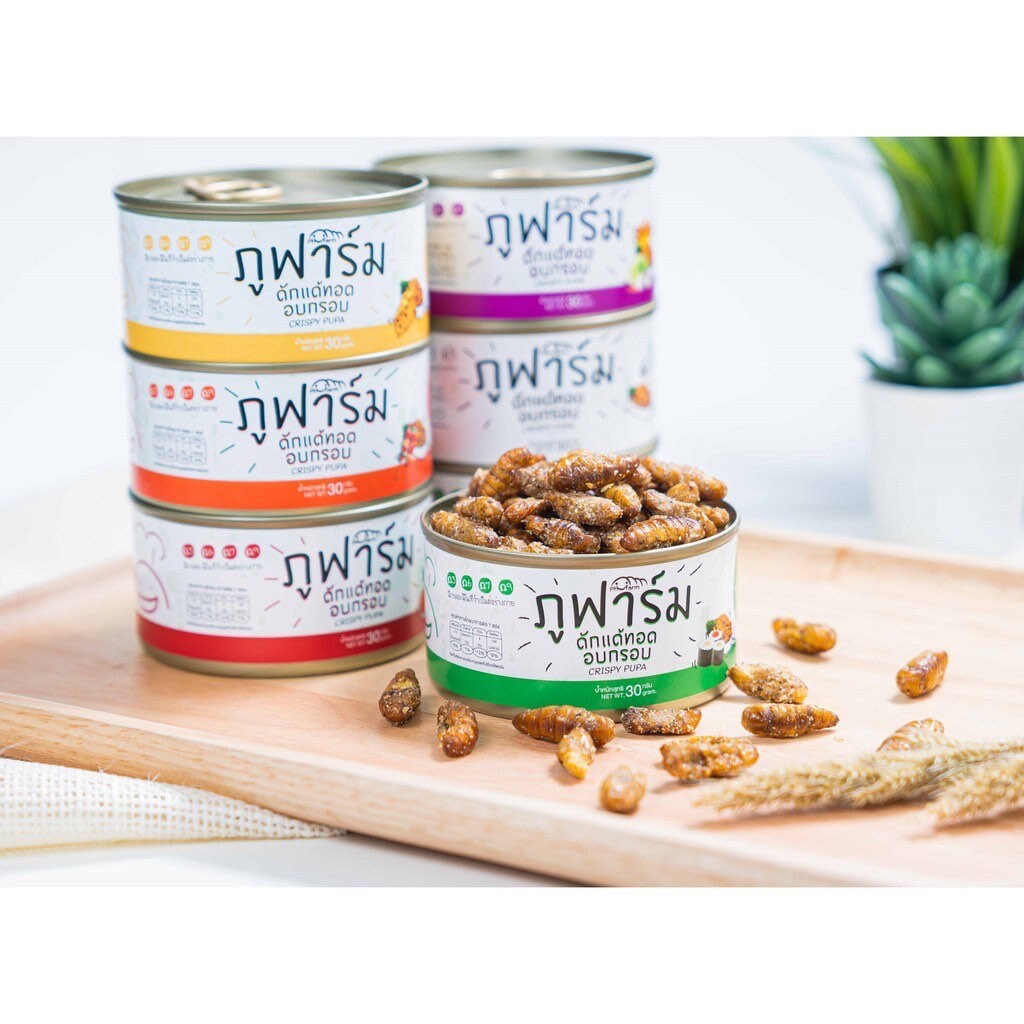 Silkwarm Pupae Snack Crispy Pupae Homemade Style Yummy 30 G | Etsy