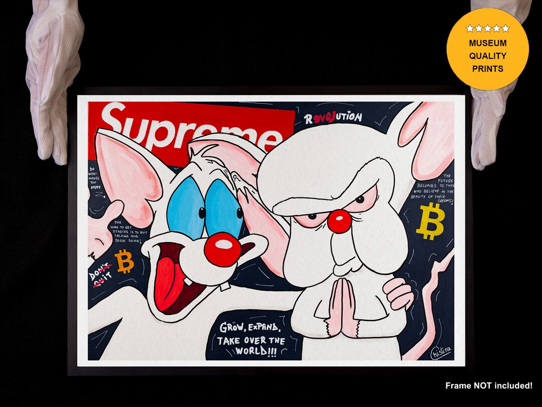 Pinky and the Brain Fine Art Giclée Print of My Original Pop Art Painting on Archival Paper - Etsy