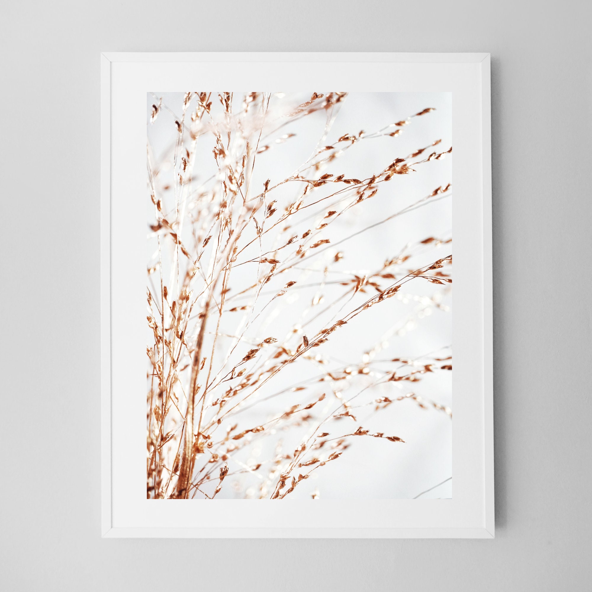 Gräser Poster Digitaler Download Botanical Poster Print Photography ...