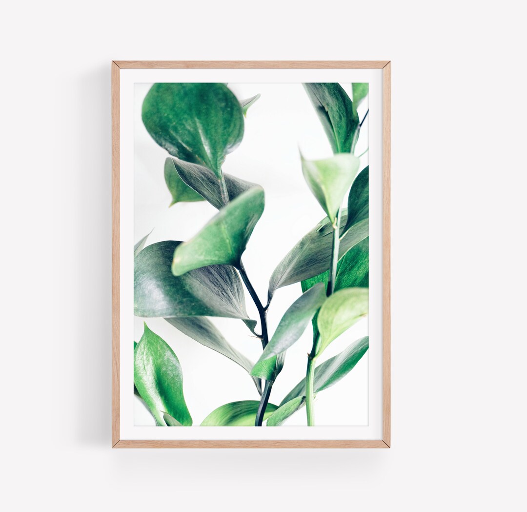 Pflanze Poster Digitaler Download Botanical Poster Print Photography ...