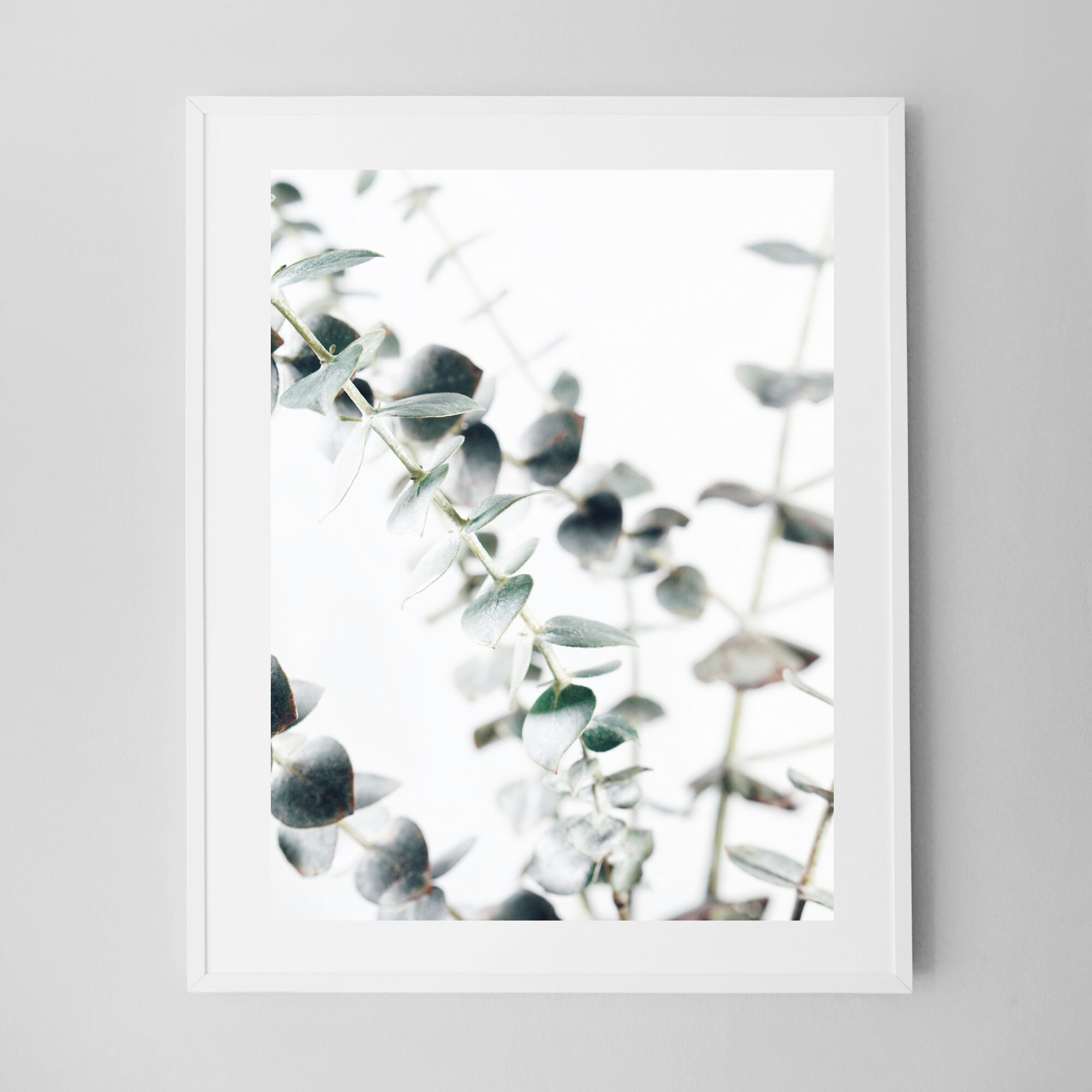 Eukalyptus Poster | Digitaler Download | Botanical | Poster | Print ...