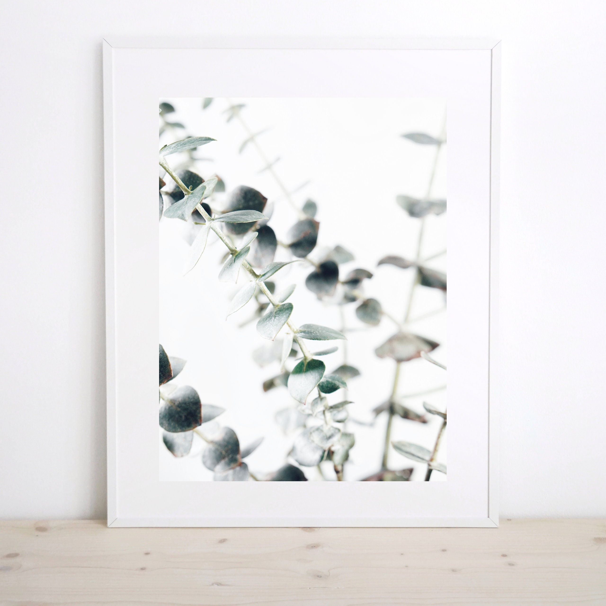 Eukalyptus Poster | Digitaler Download | Botanical | Poster | Print ...