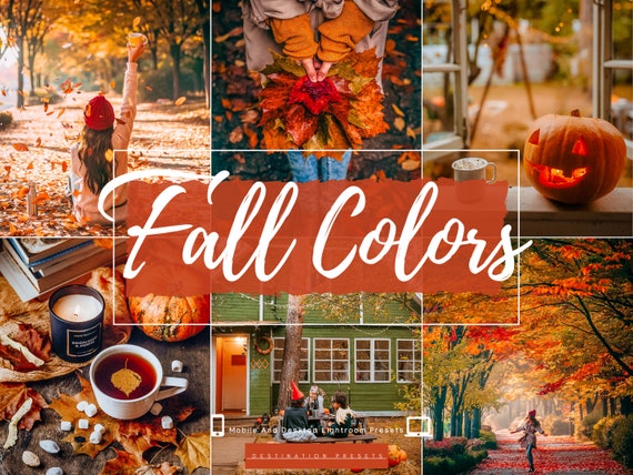 16 FALL COLORS Lightroom Mobile Presets Autumn Leaves Presets | Etsy