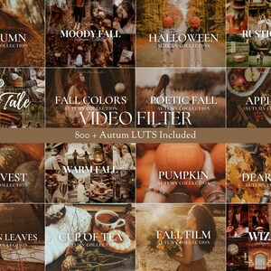 800+ AUTUMN LUTS Video Presets, Moody Fall Filter, Warm Autumn Filter ...