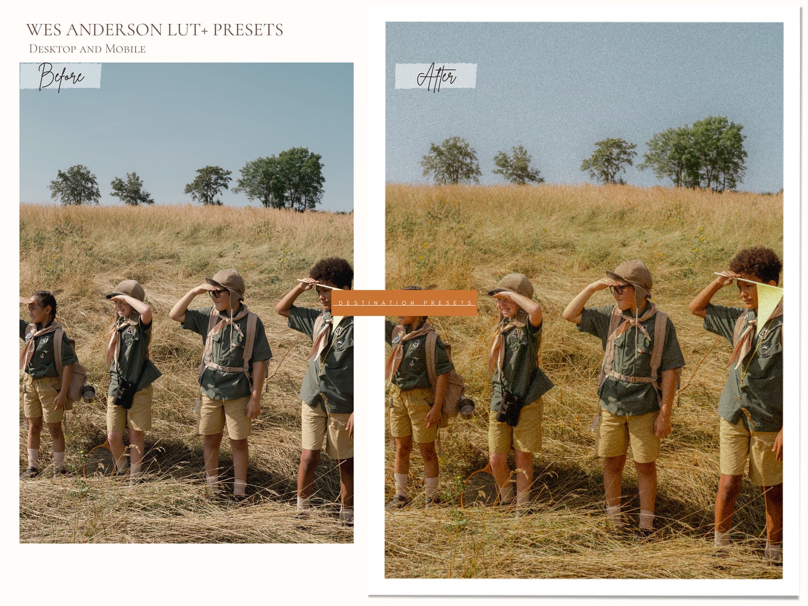 WES ANDERSON Luts and Video Filter Bundle Film Presets for - Etsy