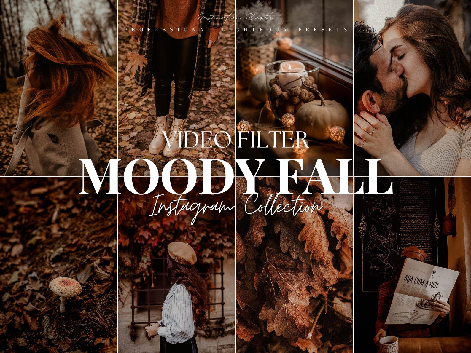 800+ AUTUMN LUTS Video Presets, Moody Fall Filter, Warm Autumn Filter ...