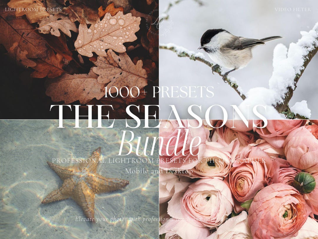 1000+ ALL SEASONS Bundle Presets, Autumn Presets, Christmas and Winter ...