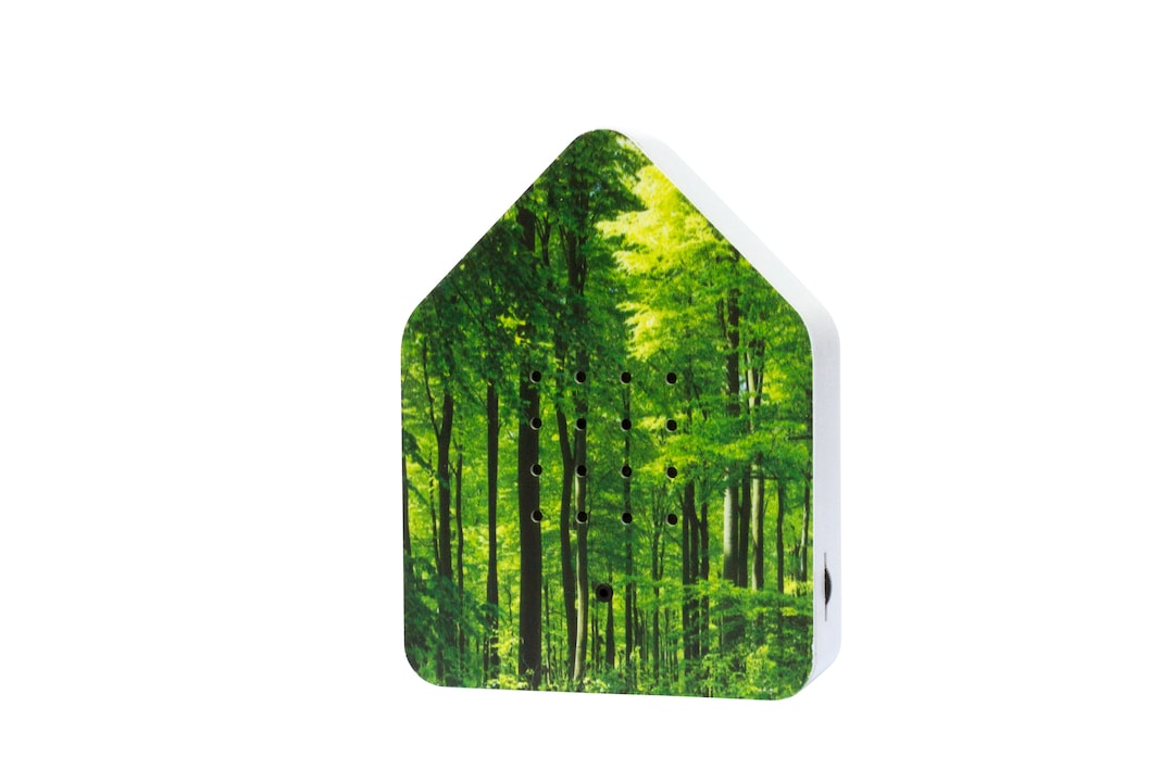 Zwitscherbox, Forest Bird Song Box, Nature Sound Effects, Forest Bird ...