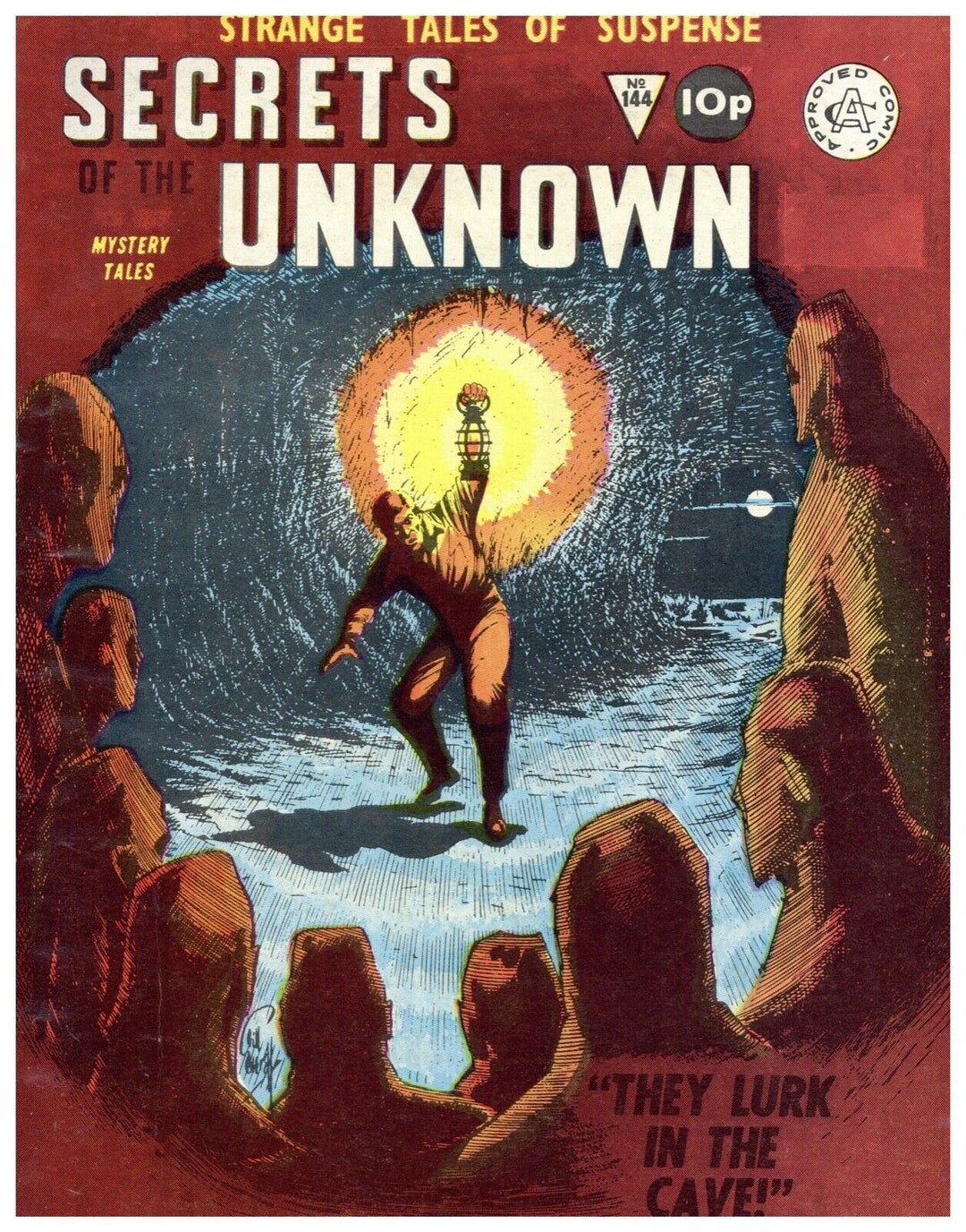 Secret of the Unknown Comics on DVD - Etsy