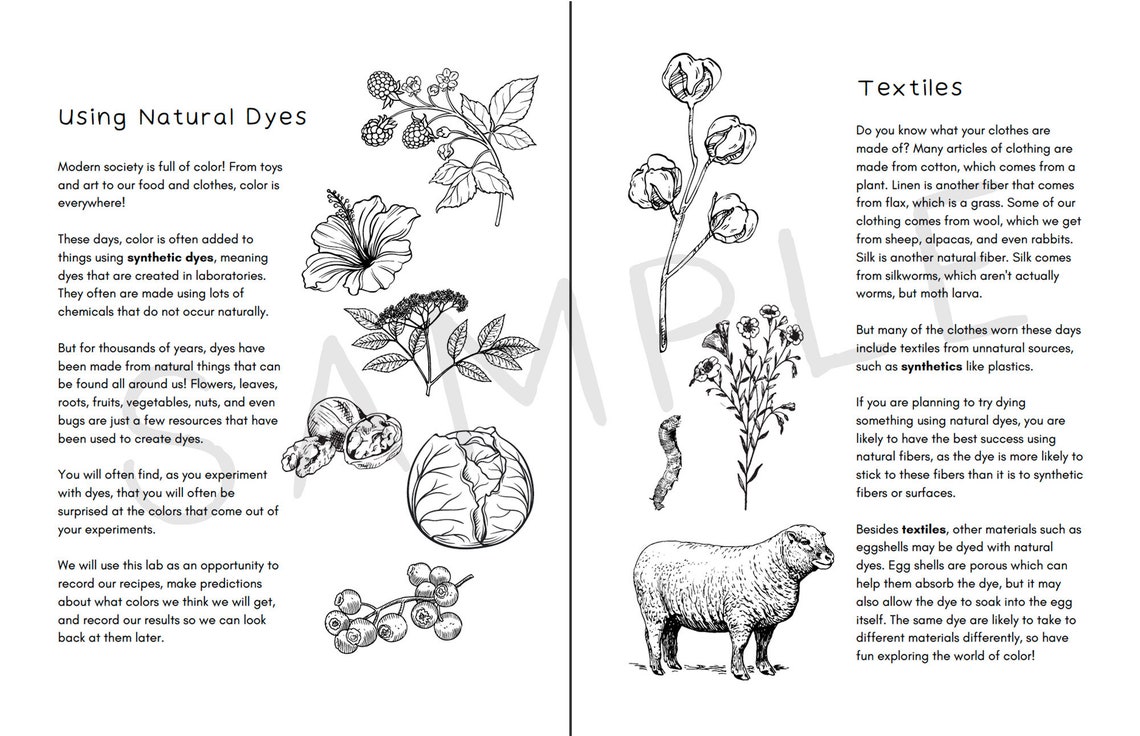 Natural Dye Lab Unit Study - Etsy
