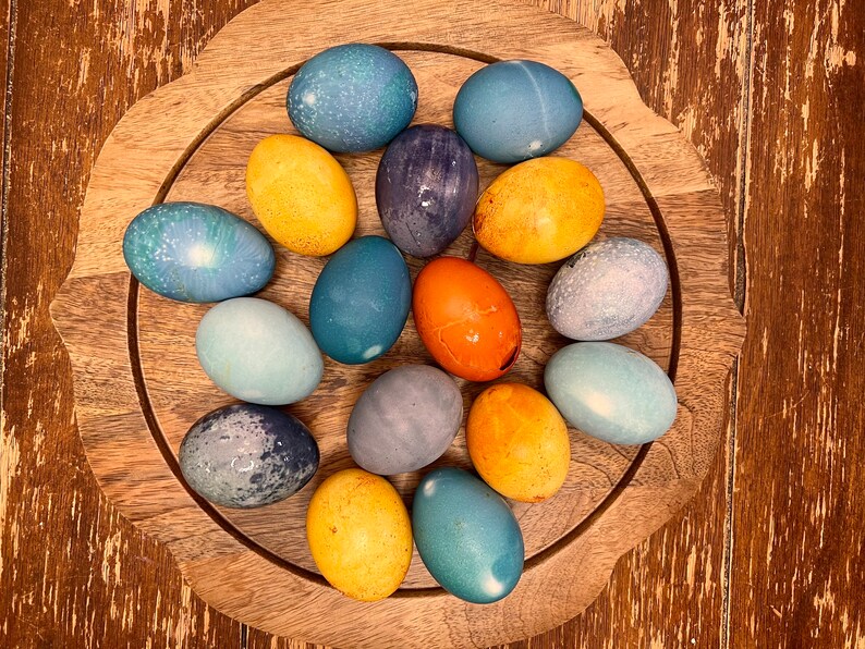 Natural Dye Lab Unit Study - Etsy