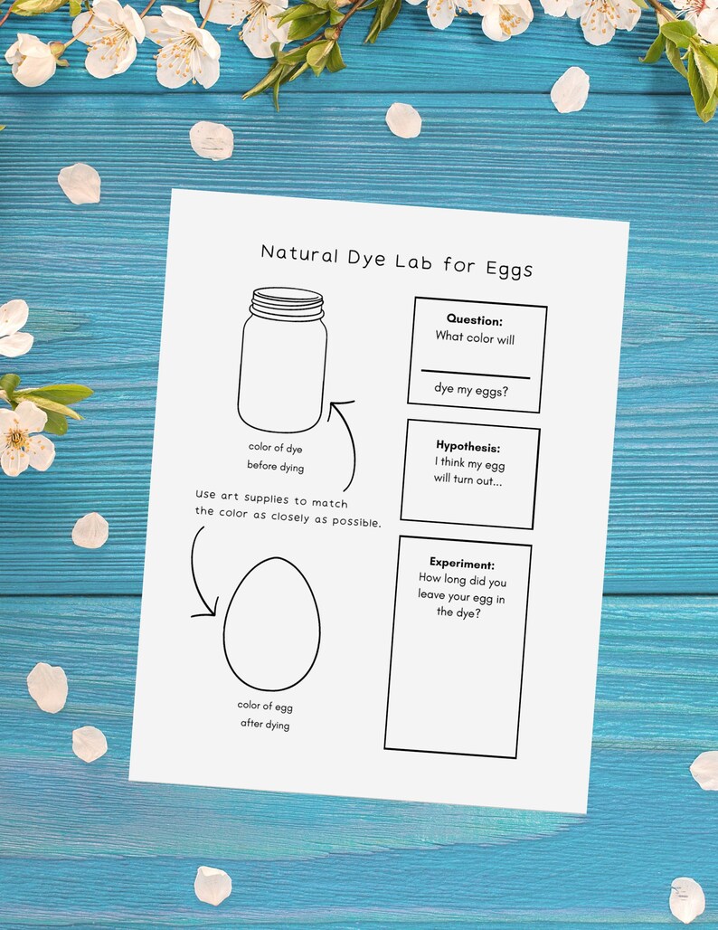 Natural Dye Lab Unit Study - Etsy
