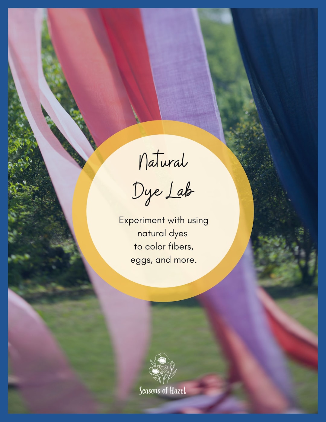 Natural Dye Lab Unit Study - Etsy