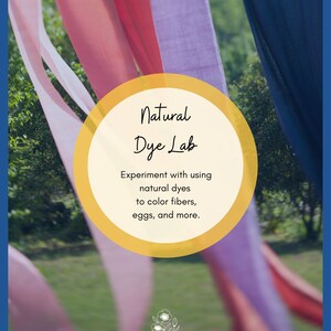 Natural Dye Lab Unit Study - Etsy