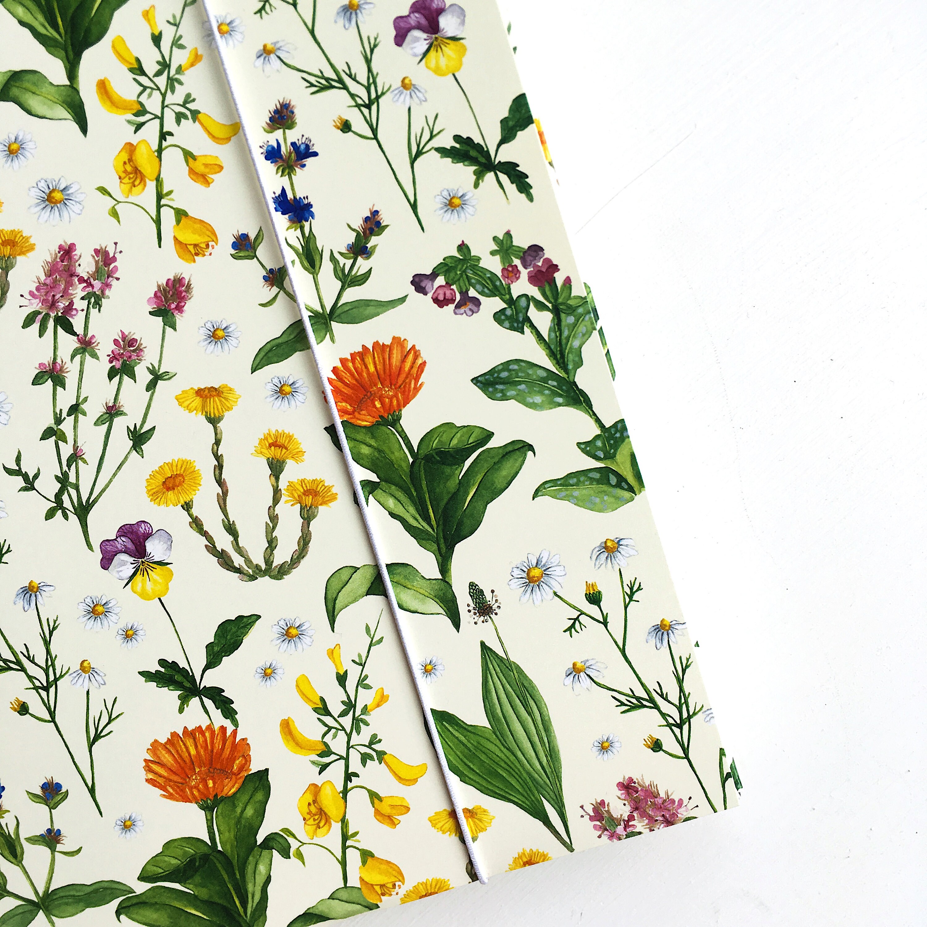 File Folder With Herbal Design. for Documents, Important Papers ...