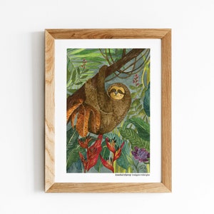 Print | Sloth in Rain Forest | Original Aquarelle Illustration | Two ...