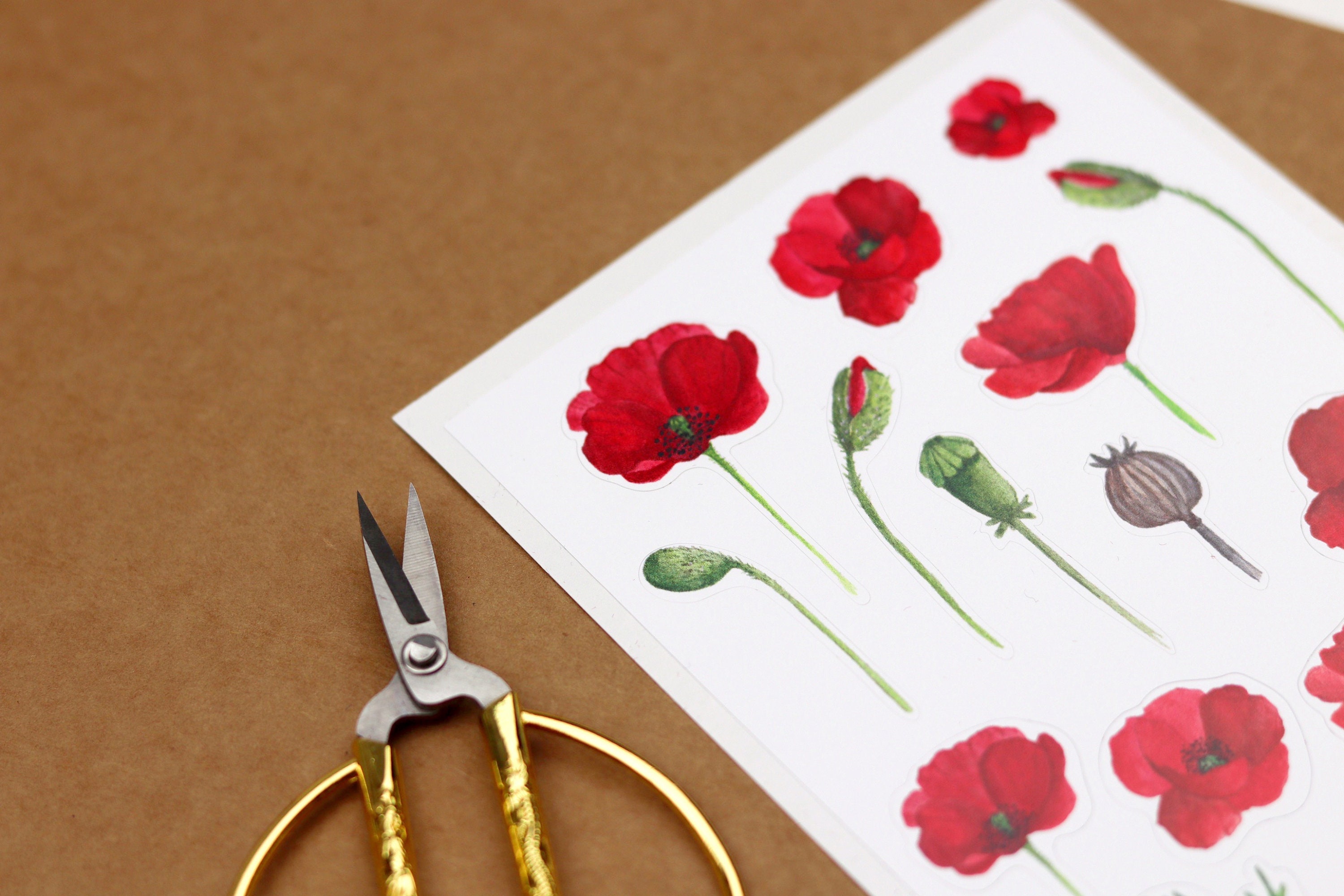 Poppy Stickers. Original Illustration Poppy Poppies Fiel - Etsy