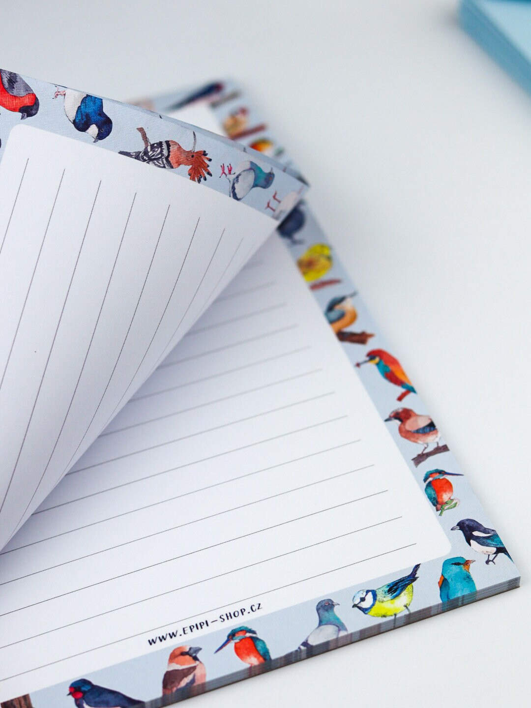 Letter Writing Set | Illustrated Letter Set - Colourful Birds | Letter ...