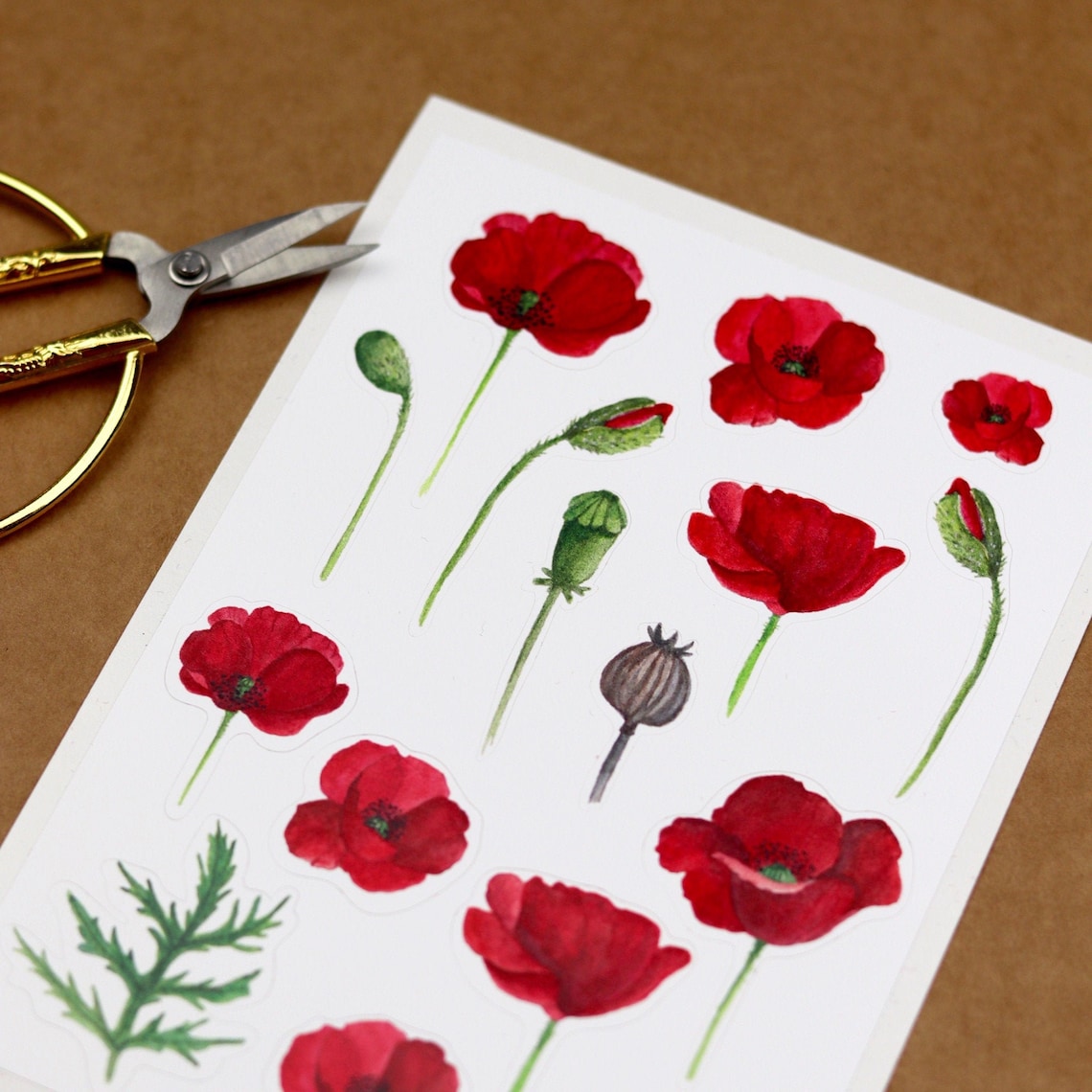 Poppy Stickers. Original Illustration Poppy Poppies Fiel - Etsy