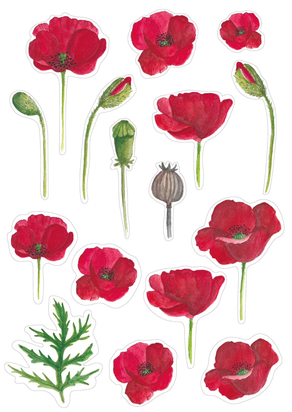 Poppy Stickers. Original Illustration Poppy Poppies Fiel - Etsy