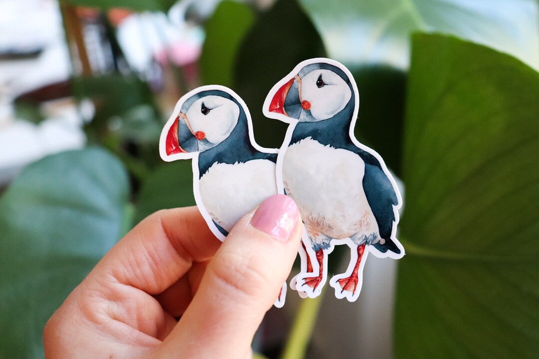 Puffin Sticker - Original Illustration. Single Sticker. PVC Sticker. - Etsy